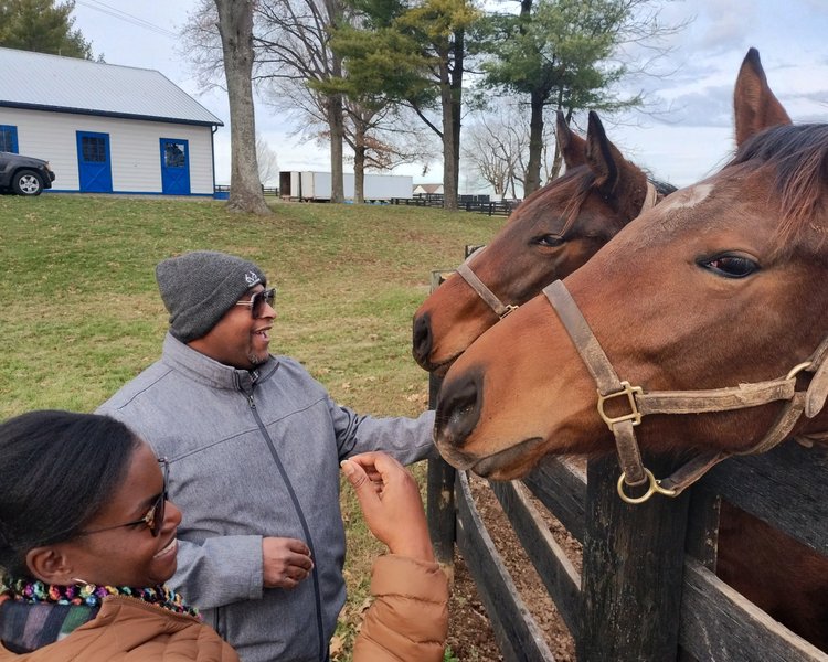 Daily Public Tours Tours – Horse Farm Tours of The Kentucky Bluegrass ...