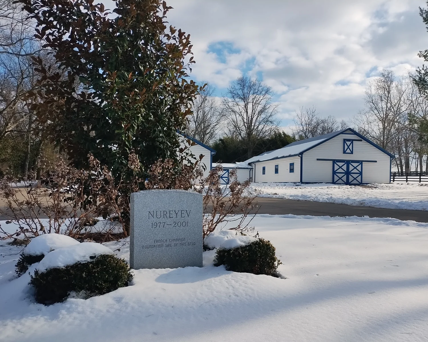 Daily Public Tours Tours – Horse Farm Tours of The Kentucky Bluegrass ...