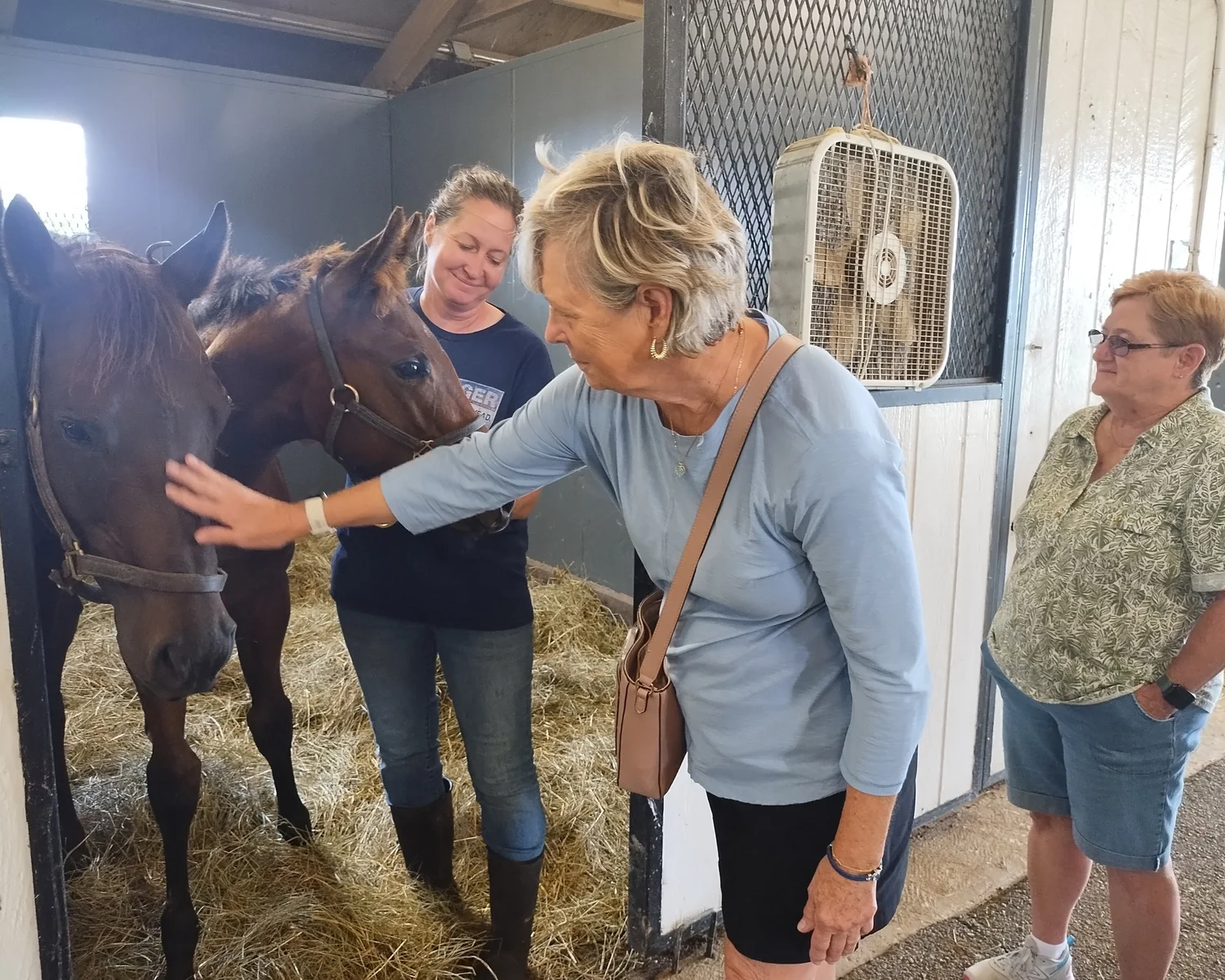 Daily Public Tours Tours – Horse Farm Tours of The Kentucky Bluegrass ...