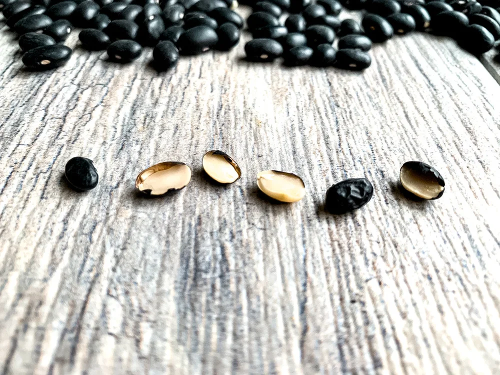 How to Cook Perfect Beans from Scratch — Rooted Life