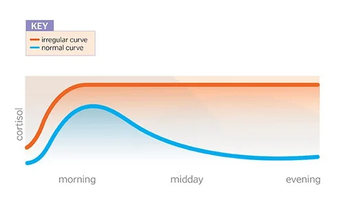 7 Signs You're A Cortisol Junkie — Rooted Life