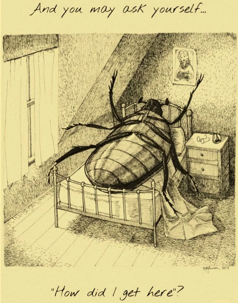 Music and metamorphosis: songs about transformation — Song Bar