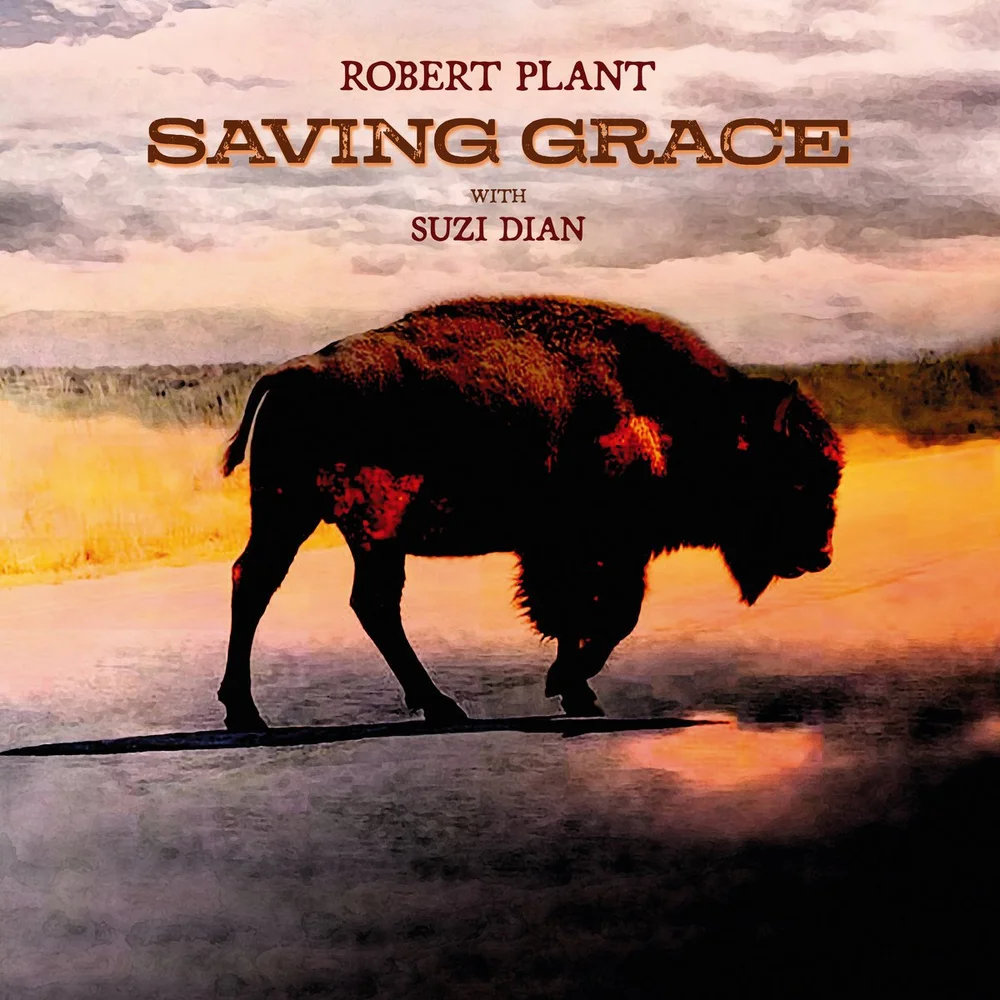 Robert Plant: Saving Grace - album review — Song Bar