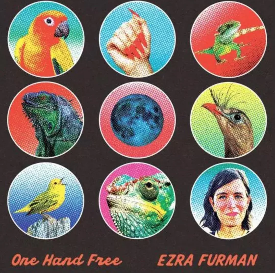Song of the Day: Ezra Furman - One Hand Free — Song Bar