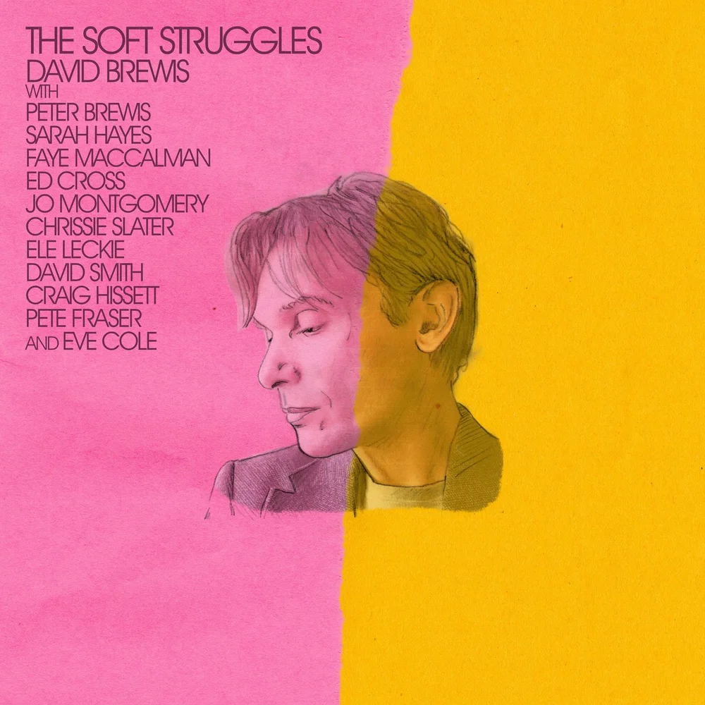 David Brewis: The Soft Struggles - album review — Song Bar