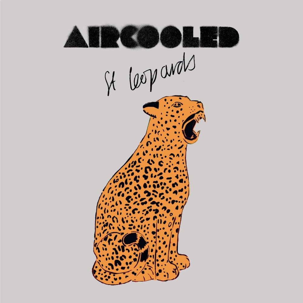 Song of the Day: Aircooled - Supermotodisco — Song Bar