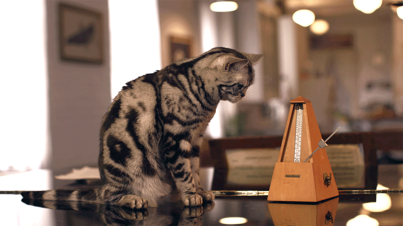 Just count on this: songs with unusual time signatures — Song Bar
