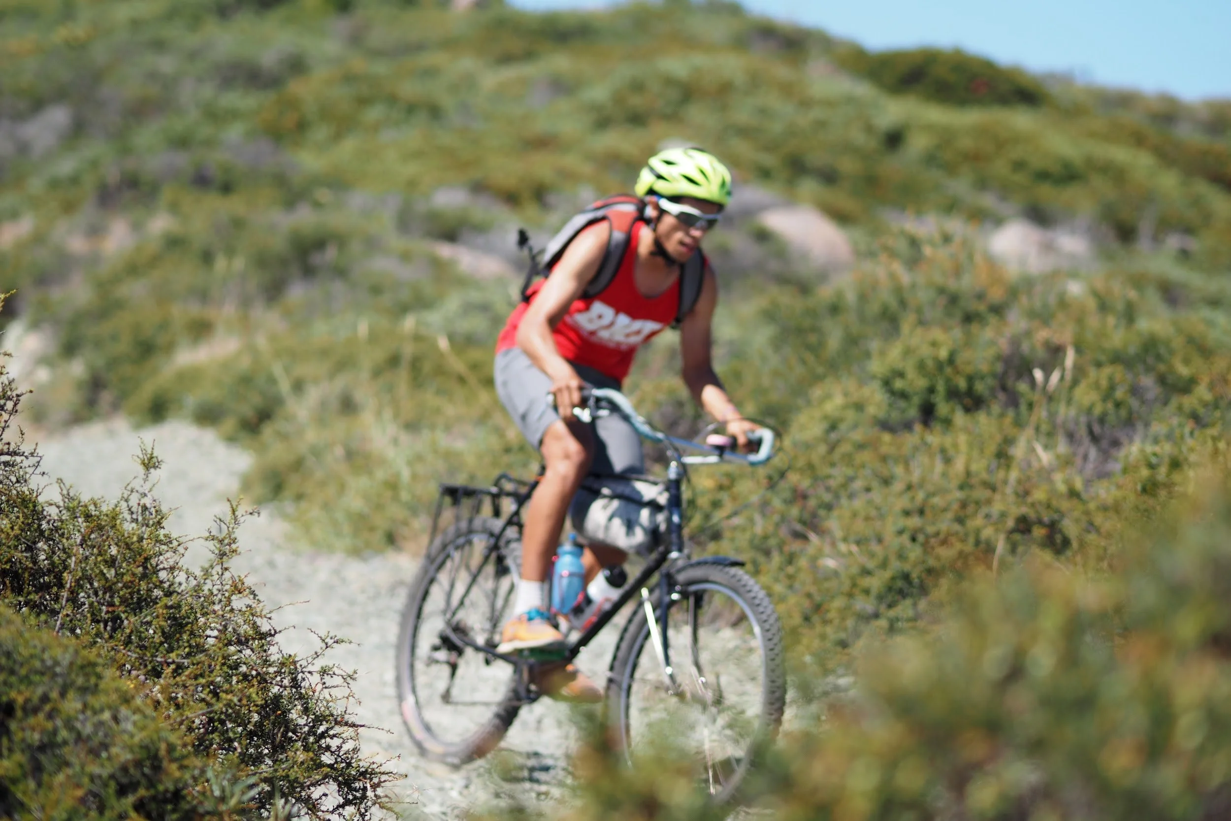 Our favorite handlebars — Blue Heron Bike Shop