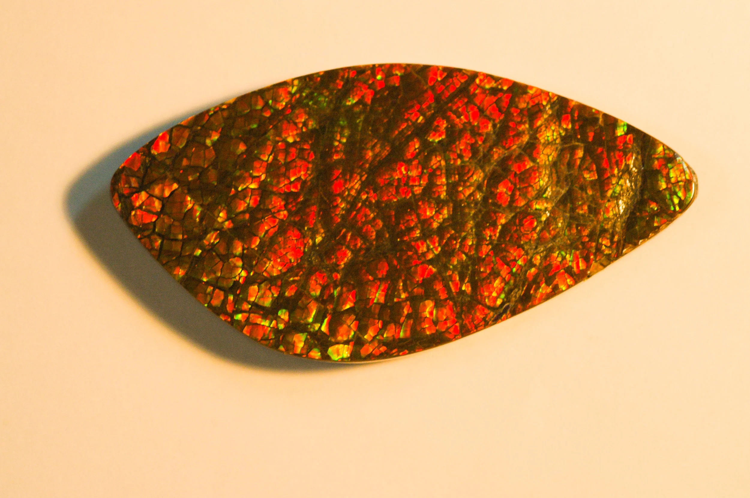 FREEFORM DRAGON SKIN AMMOLITE FROM ALBERTA — Artistic Jewelry Design