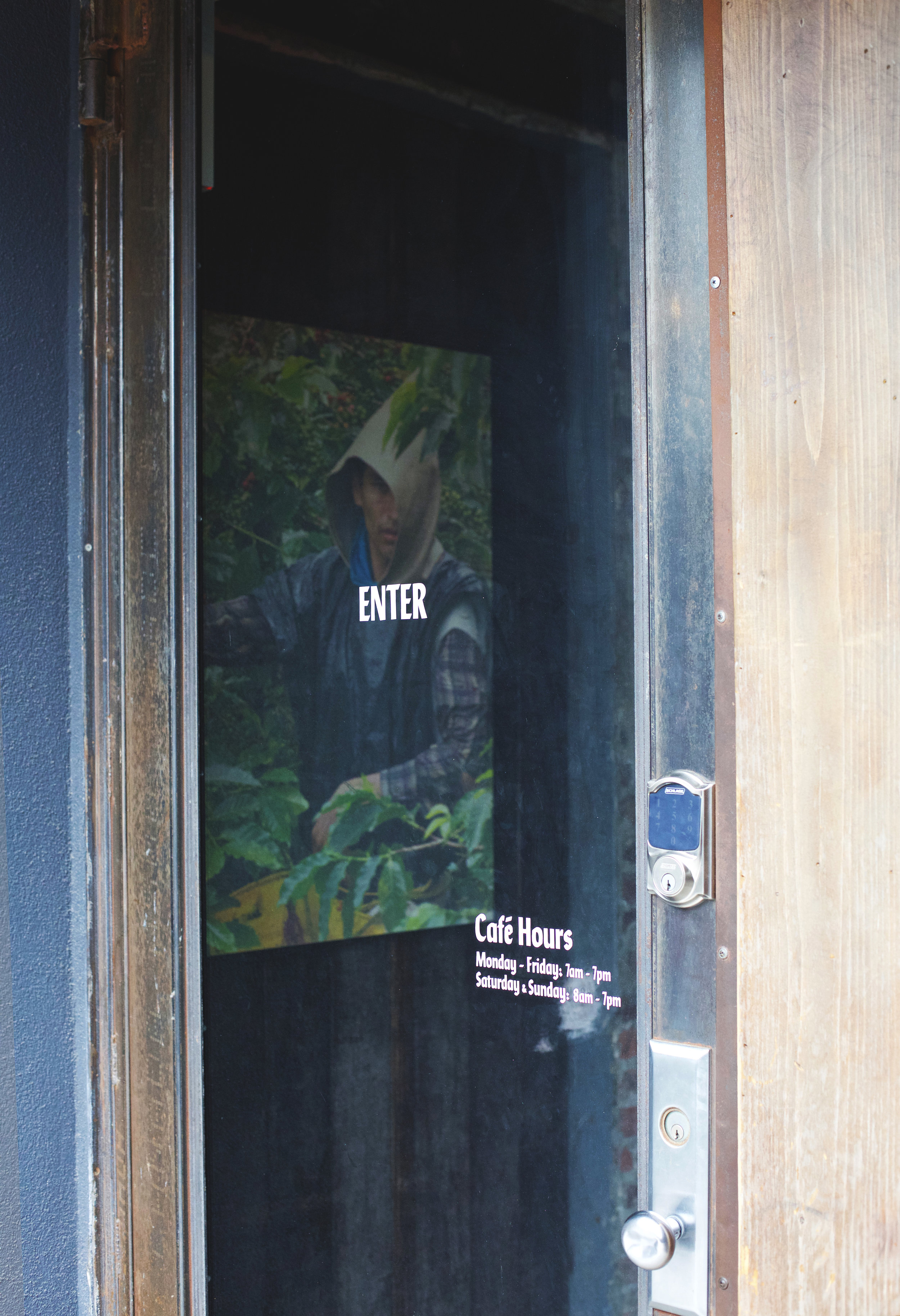 DEVOCIÓN ROASTERY & CAFÉ: 'FROM TREE TO CUP' — Hazel Noix