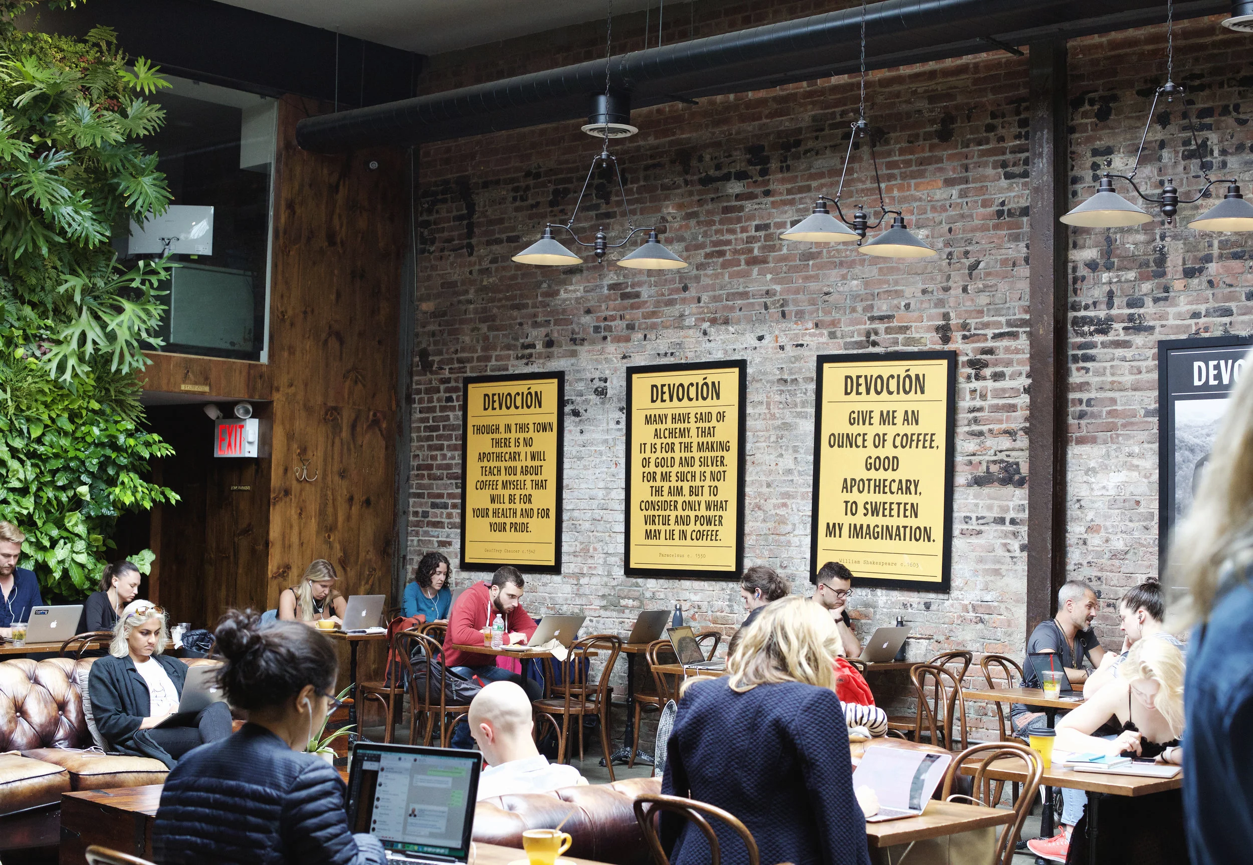 DEVOCIÓN ROASTERY & CAFÉ: 'FROM TREE TO CUP' — Hazel Noix