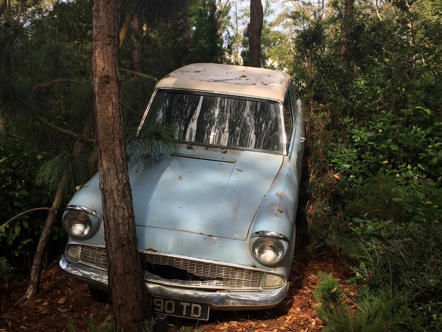 Dragon Challenge Queue