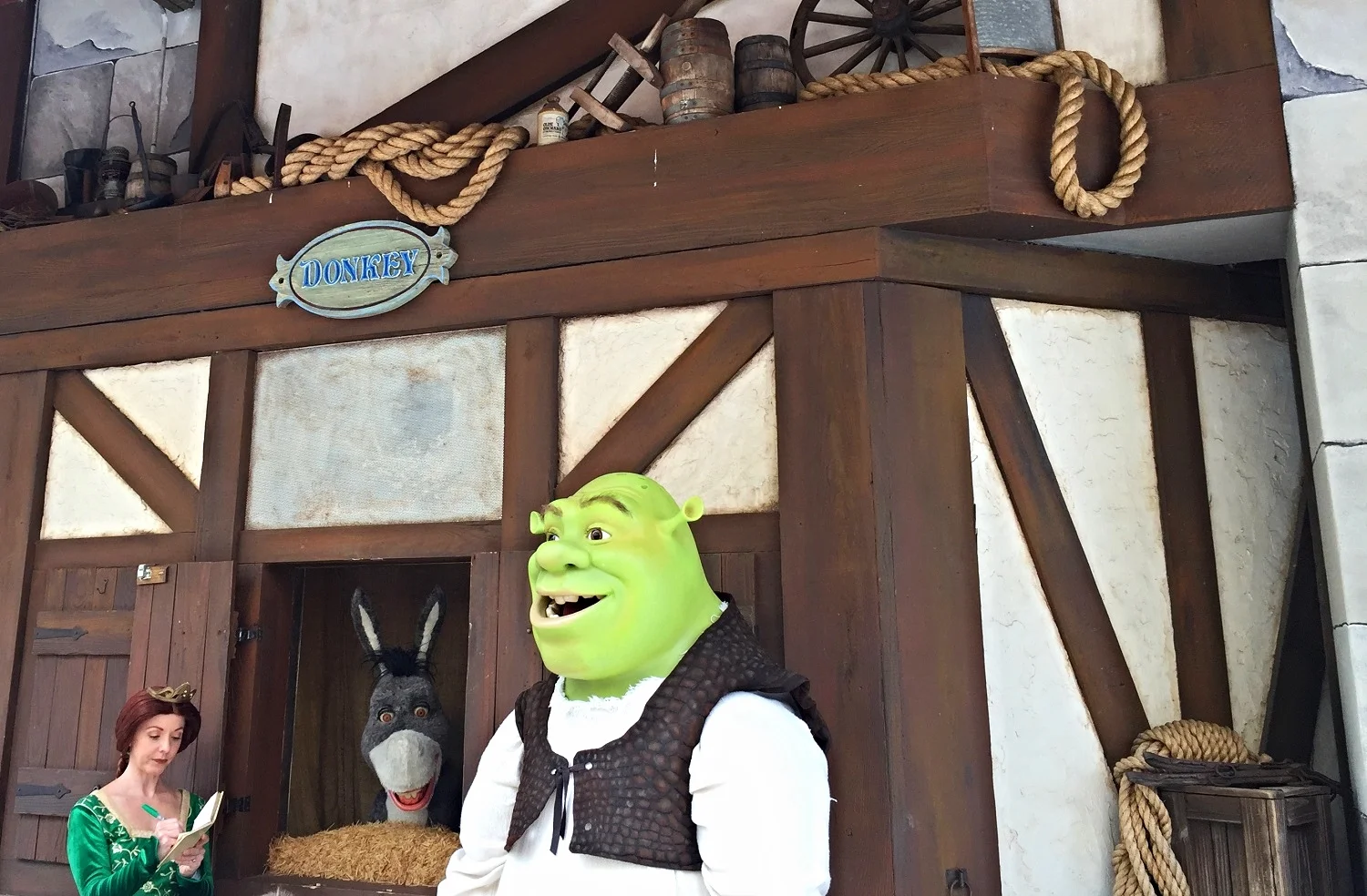 Princess Fiona Universal Studios