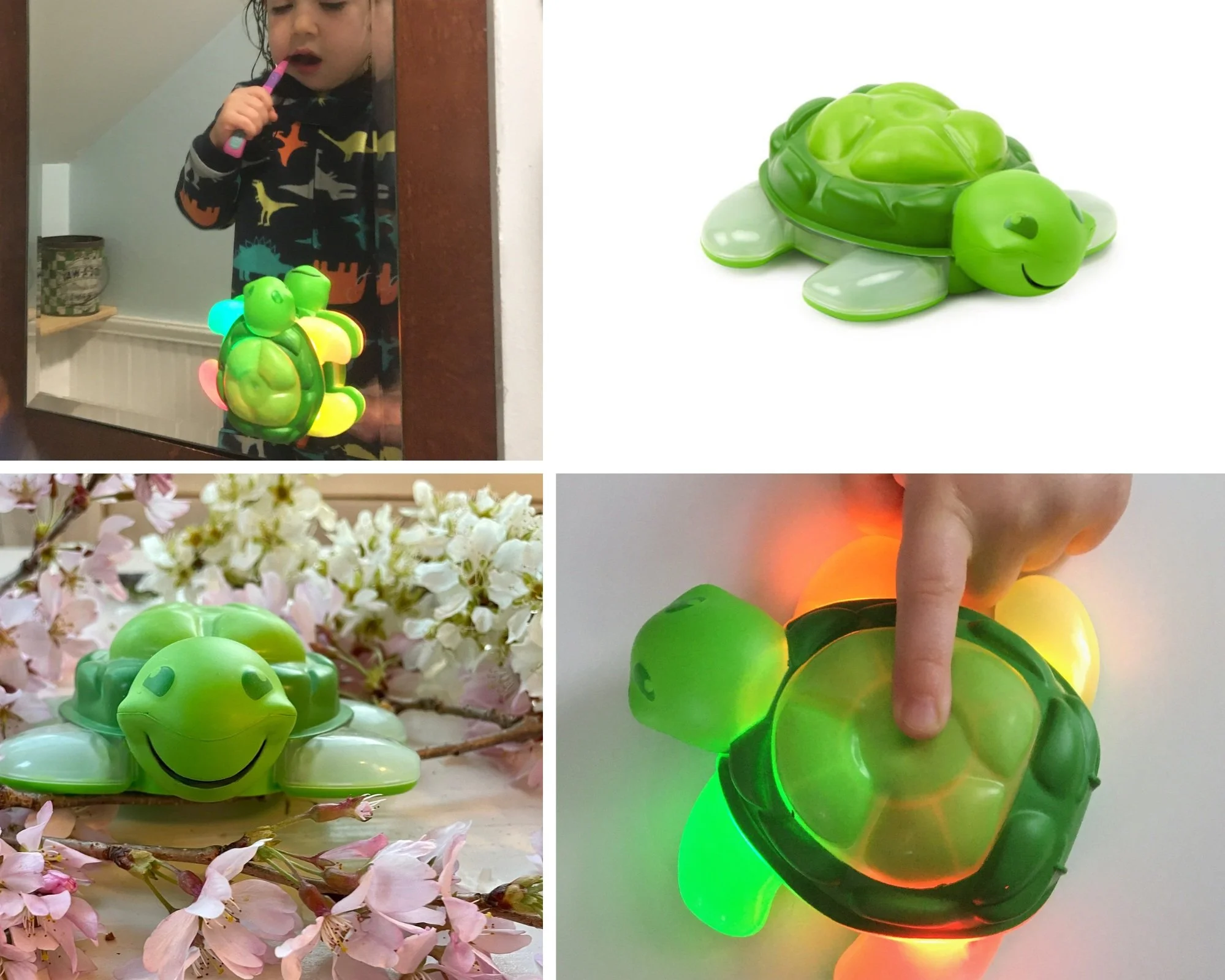 post-Invent Boston, Home of the Two Minute Turtle Timer