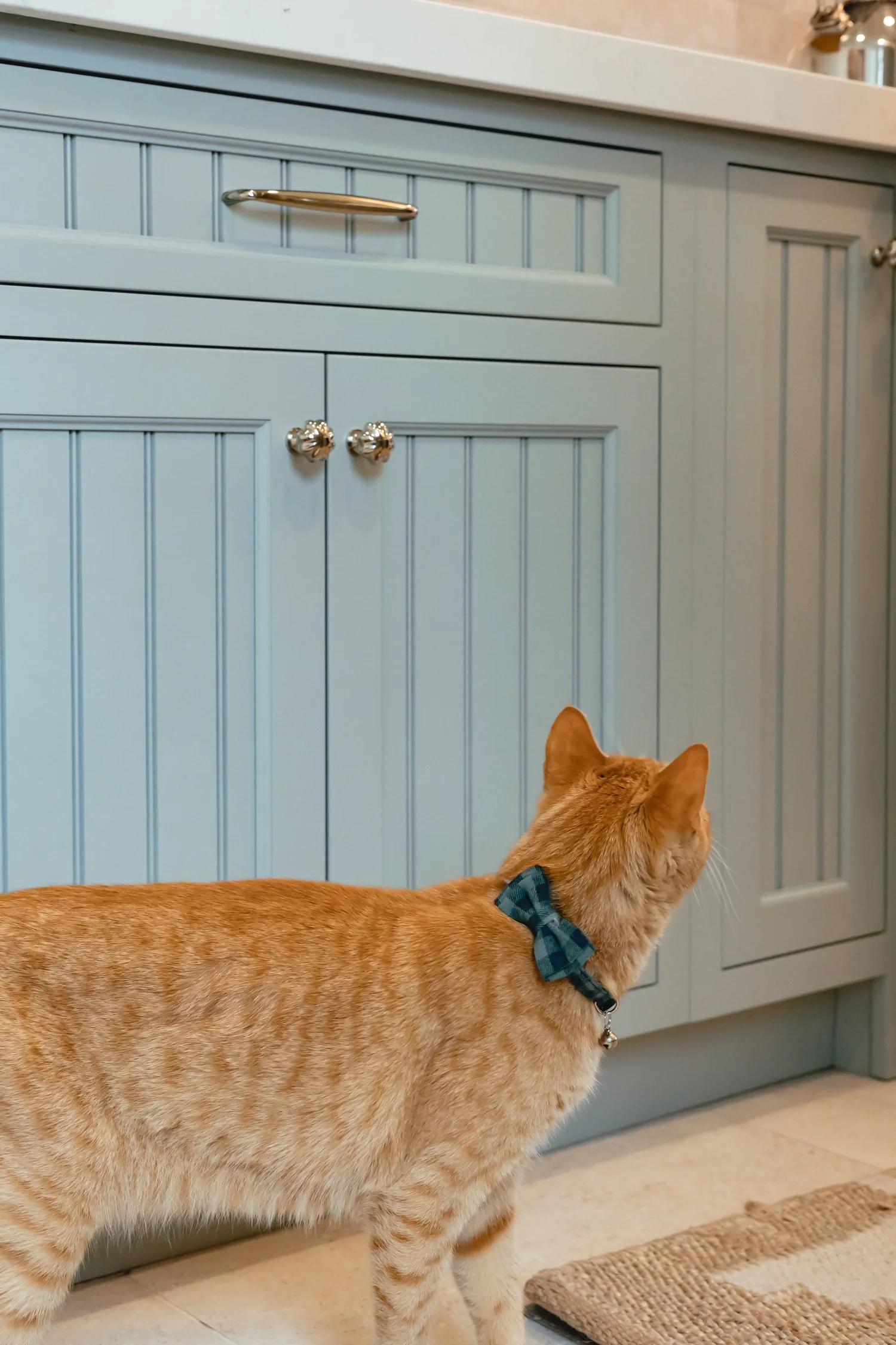Reveal of My Friends' Modest Kitchen Makeover! — The Gold Hive