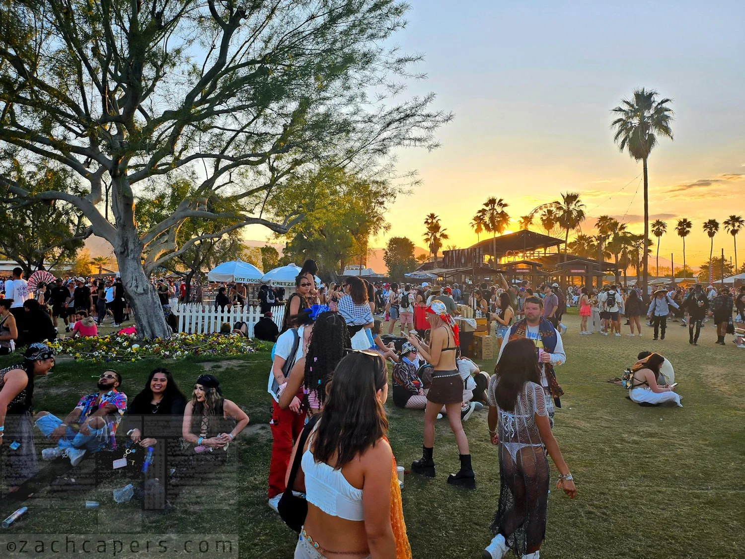 Coachella 2024 — Zach Capers