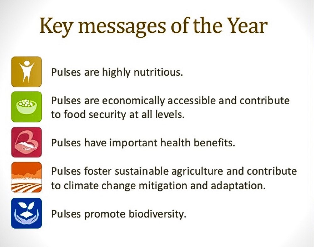 It's International Year of Pulses! — Healthy Happy Wonderful®