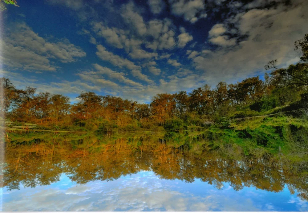 2011 Photo Contest — Slough Preserve