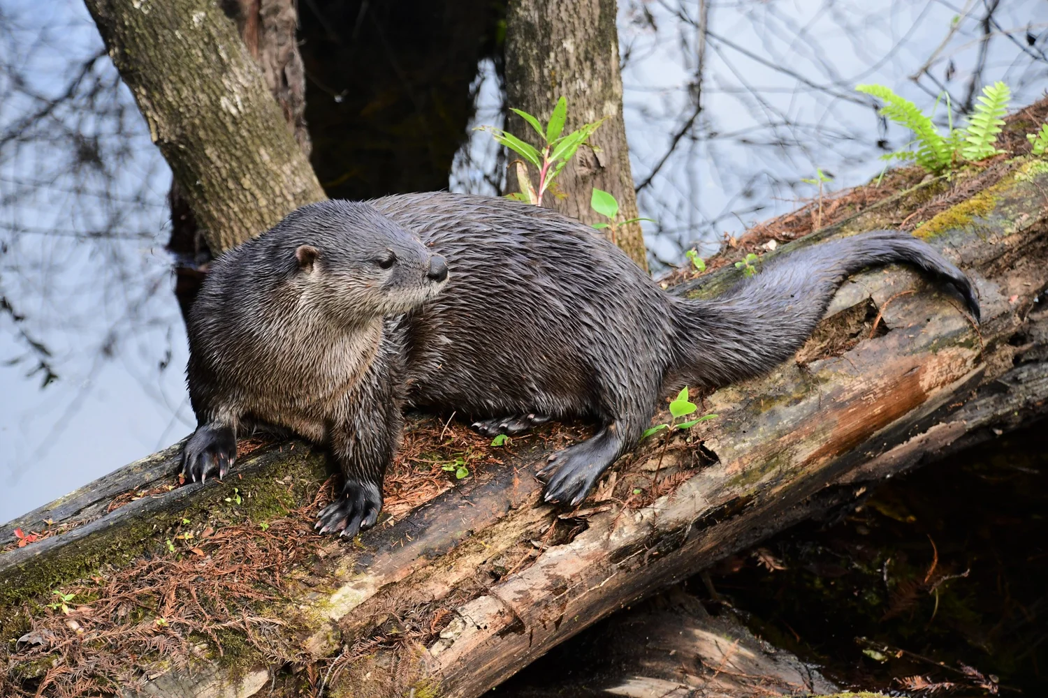 2022 Photo Contest — Slough Preserve