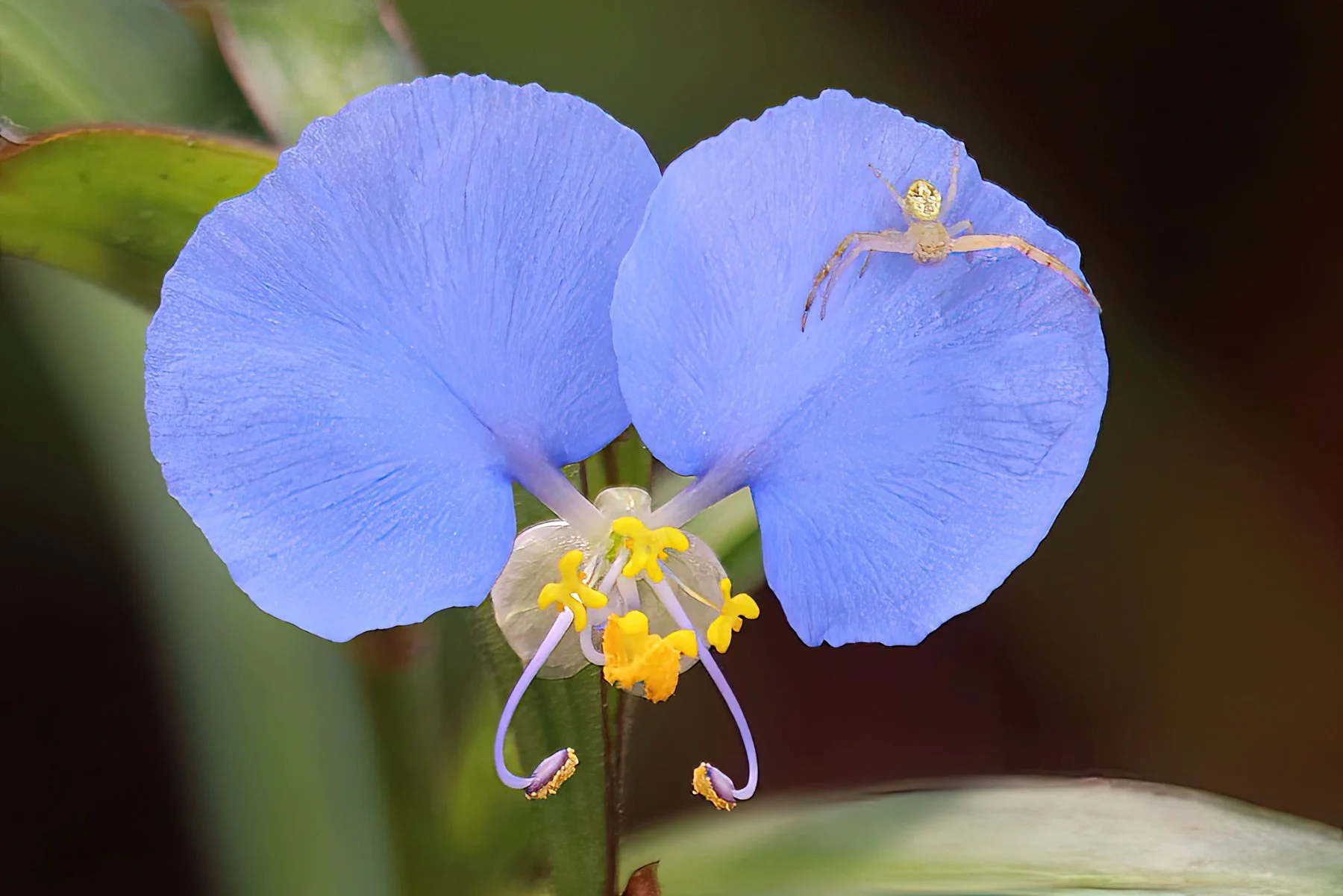 2023 Photo Contest — Slough Preserve