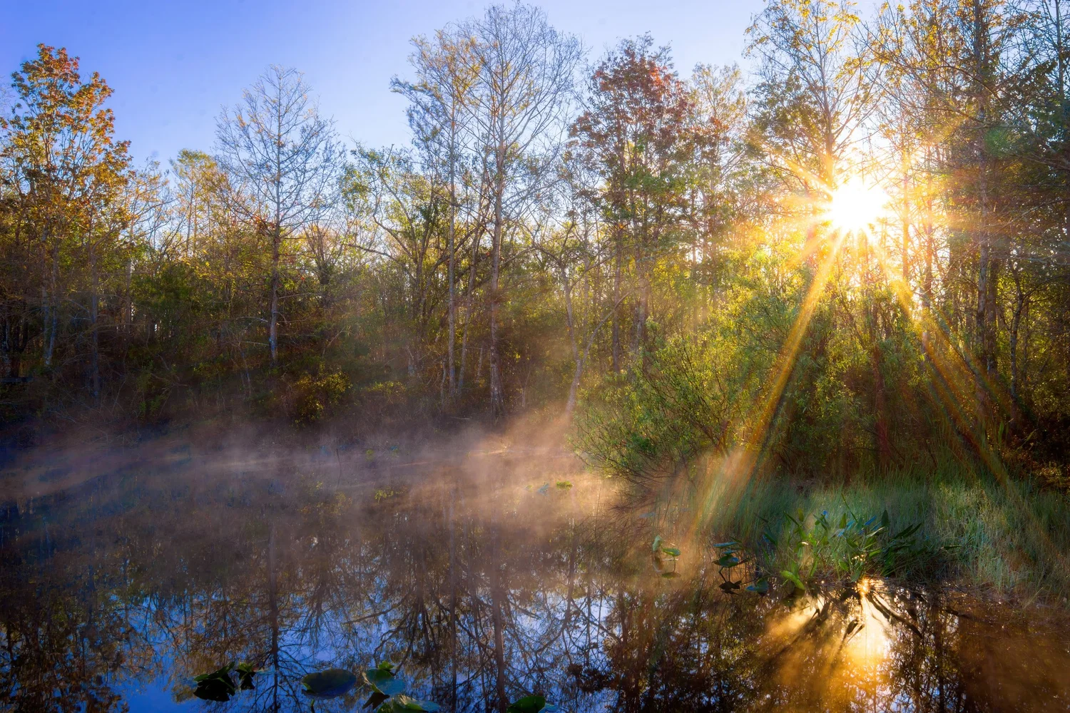 2023 Photo Contest — Slough Preserve