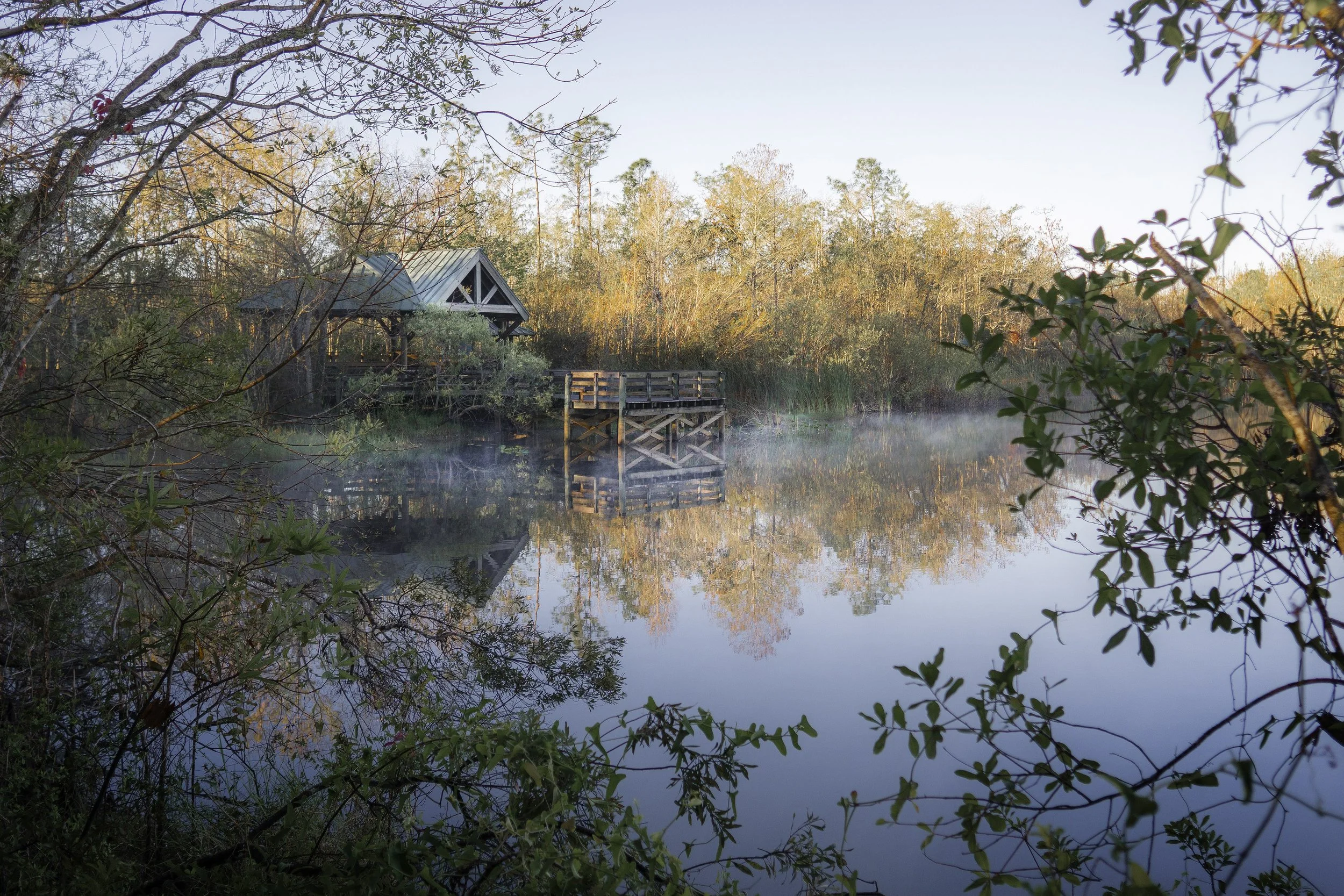 Slough Preserve