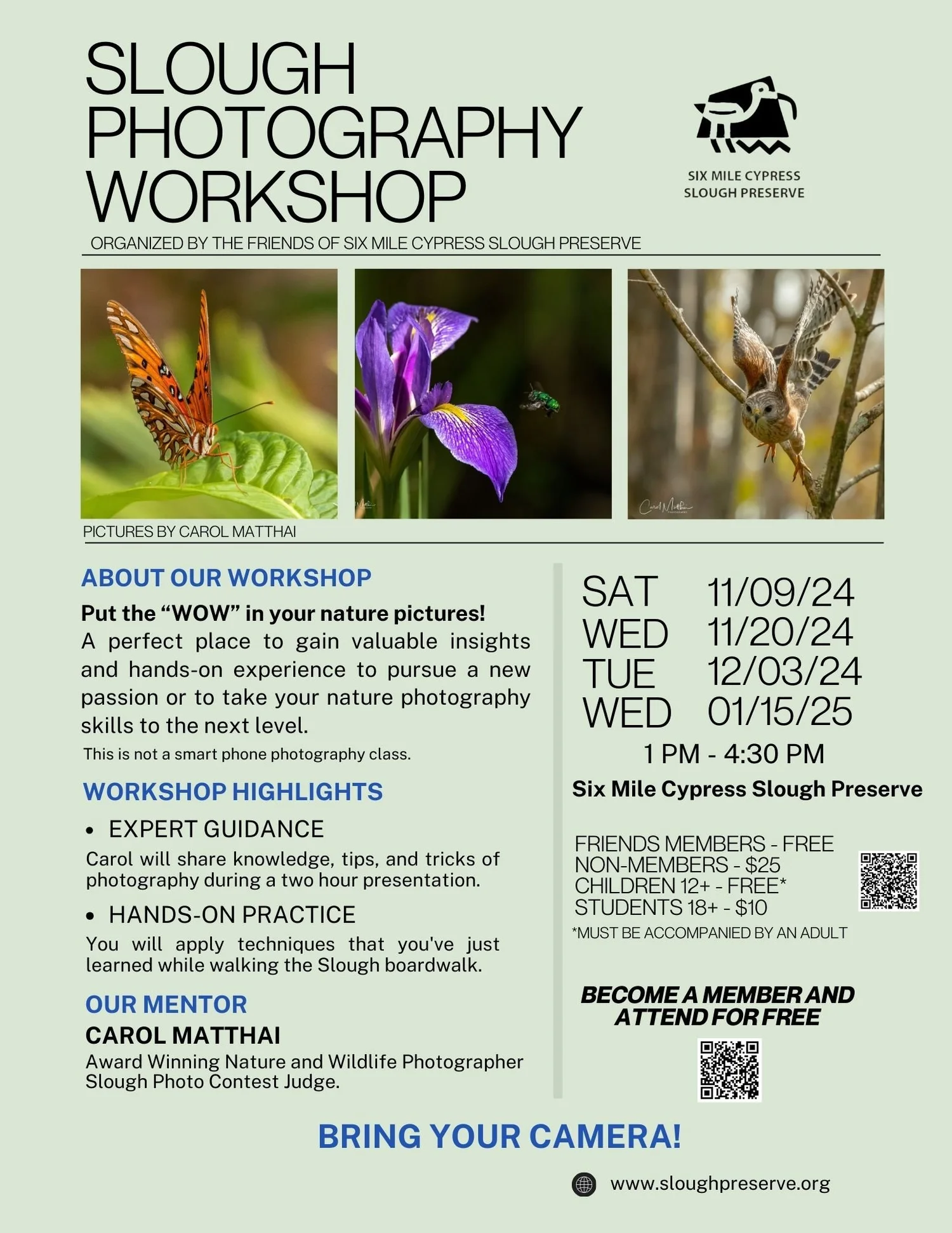 Programs/Events — Slough Preserve