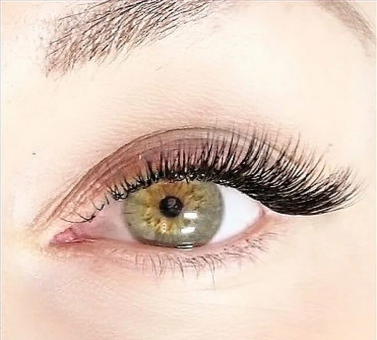 3D Volume Lash & Brow Studio