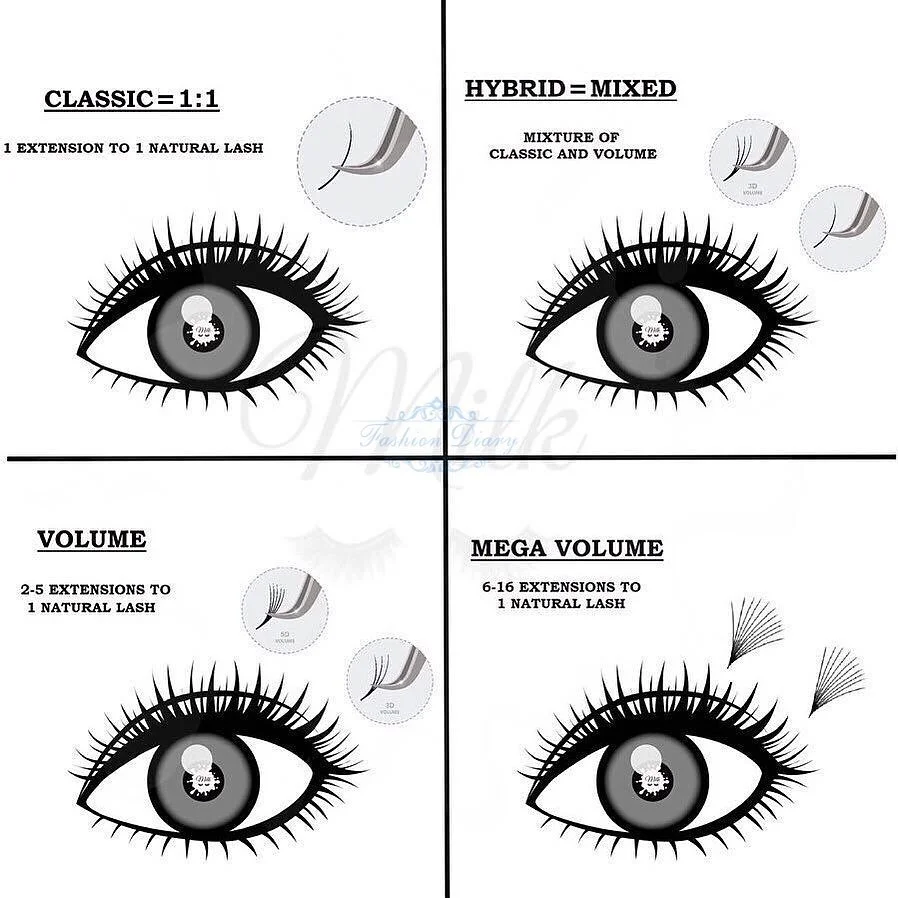 3D Volume Lash & Brow Studio