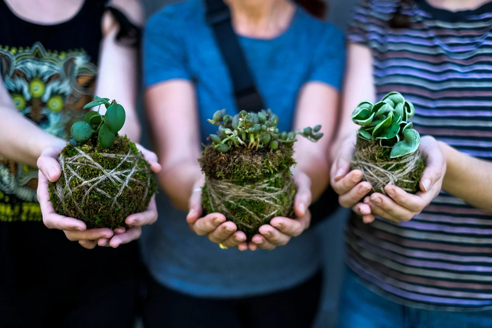 Kokedama Workshop: Morning — Botany