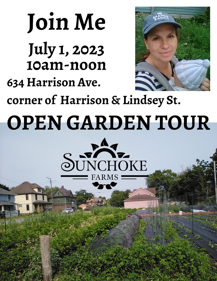 Open Garden - Sunchoke Farms — Botany