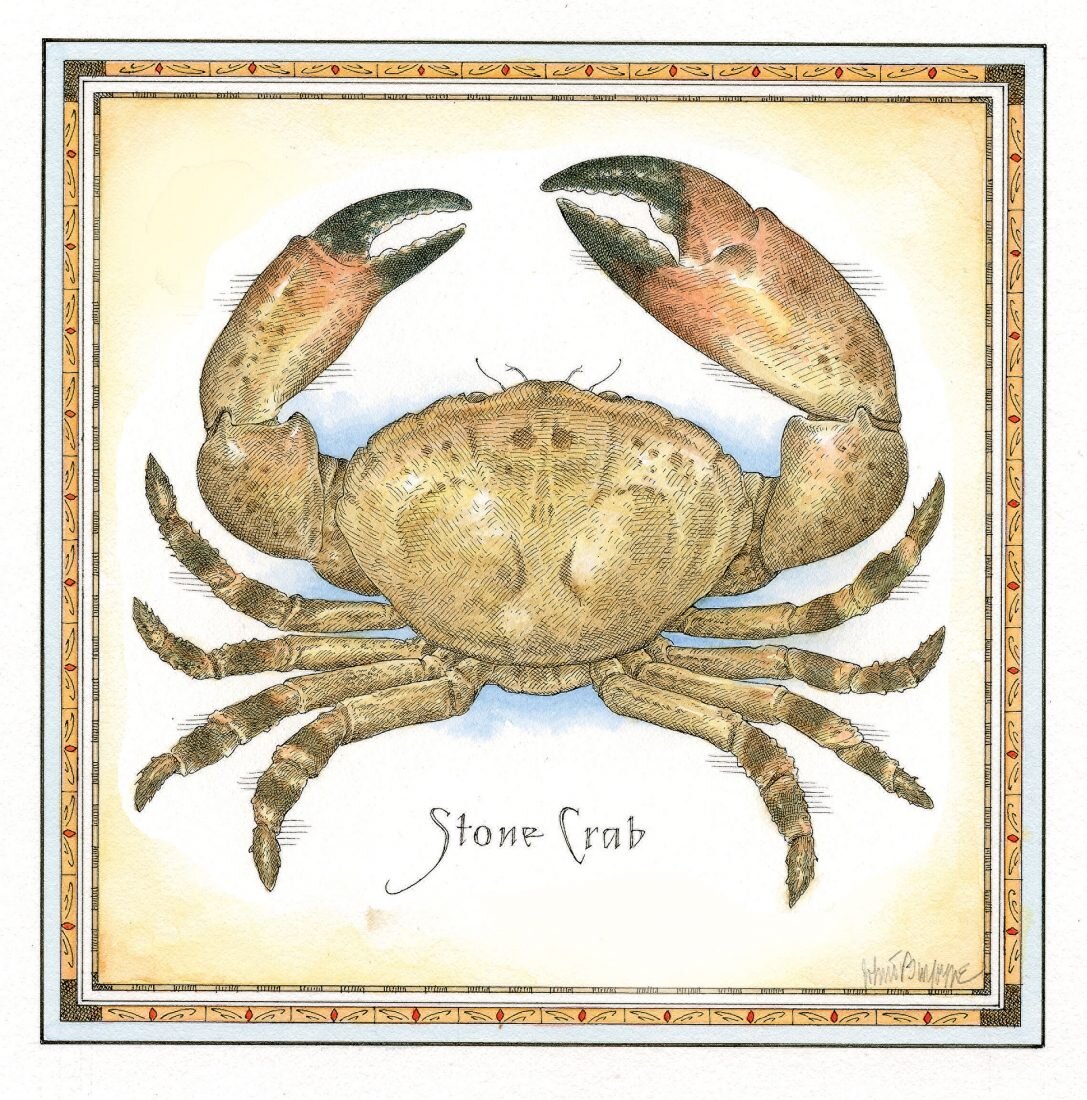 Stone Crab Season Has Finally Arrived - The Villages of Citrus Hills