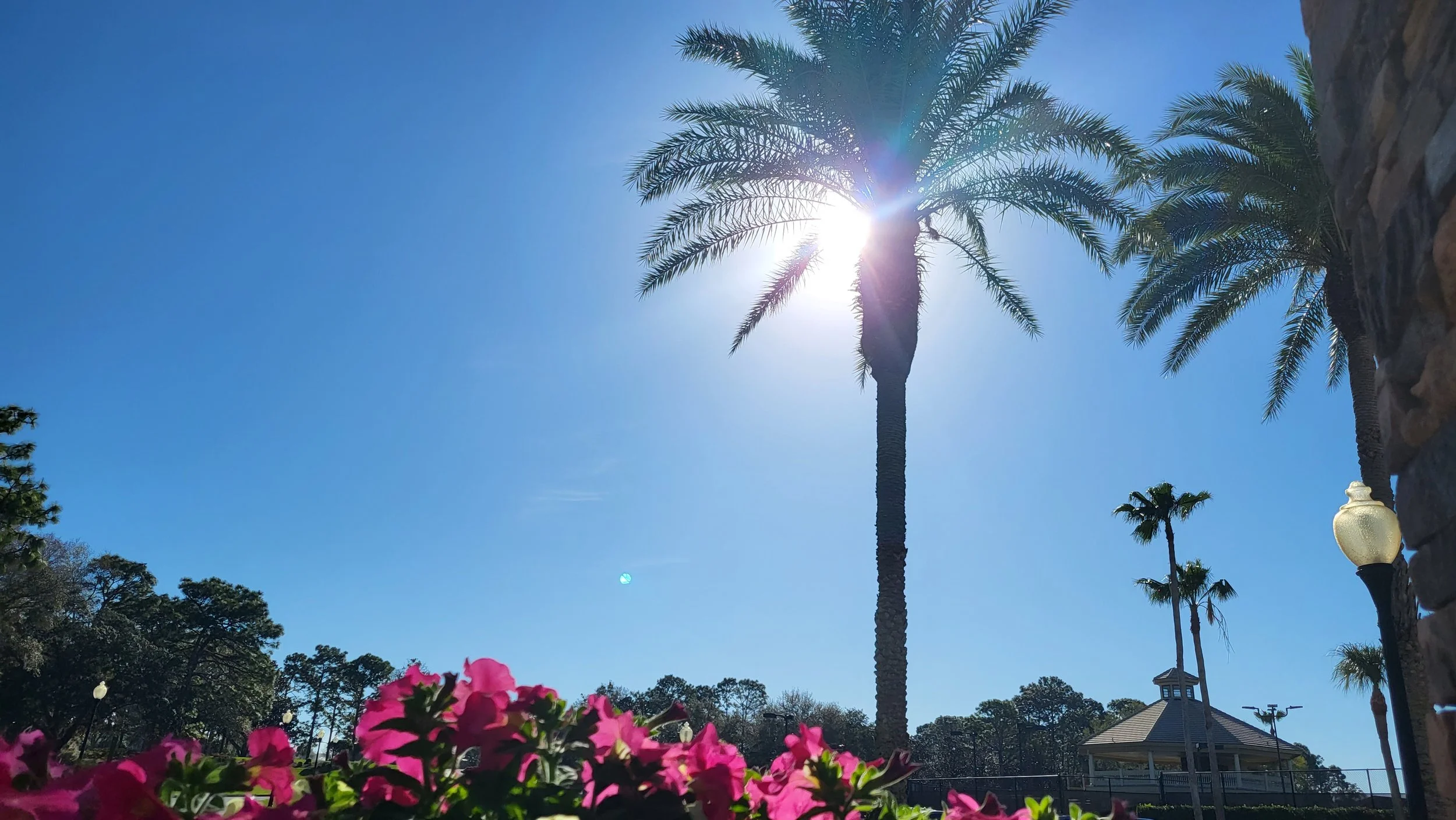 Blog — Villages of Citrus Hills