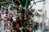 Installation: "Slash And Burn" — S.Rueter Art Contemporary Figurative ...