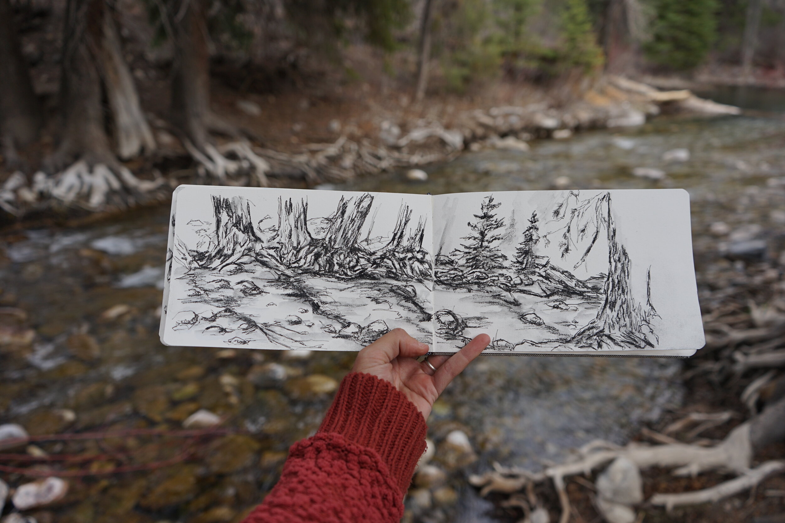 An Exploration of the Self: A Partnership with Dave and Matt Vans — S ...