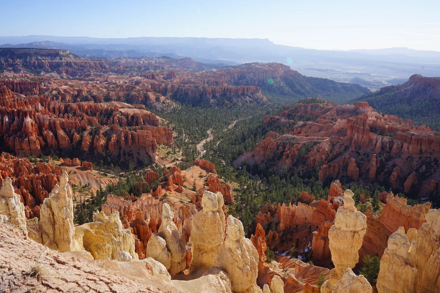 An Exploration of the Self: A Partnership with Dave and Matt Vans — S ...