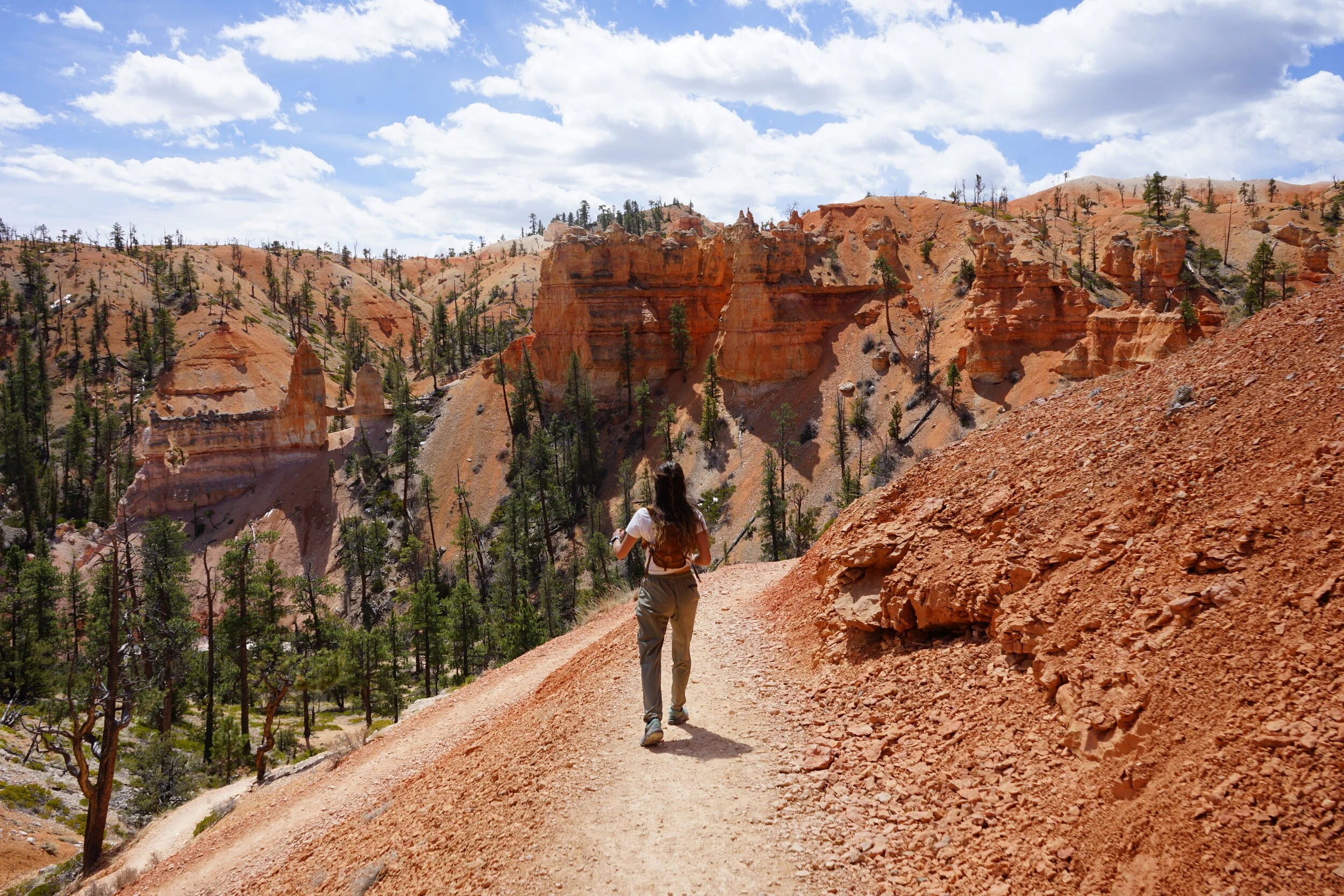 An Exploration of the Self: A Partnership with Dave and Matt Vans — S ...