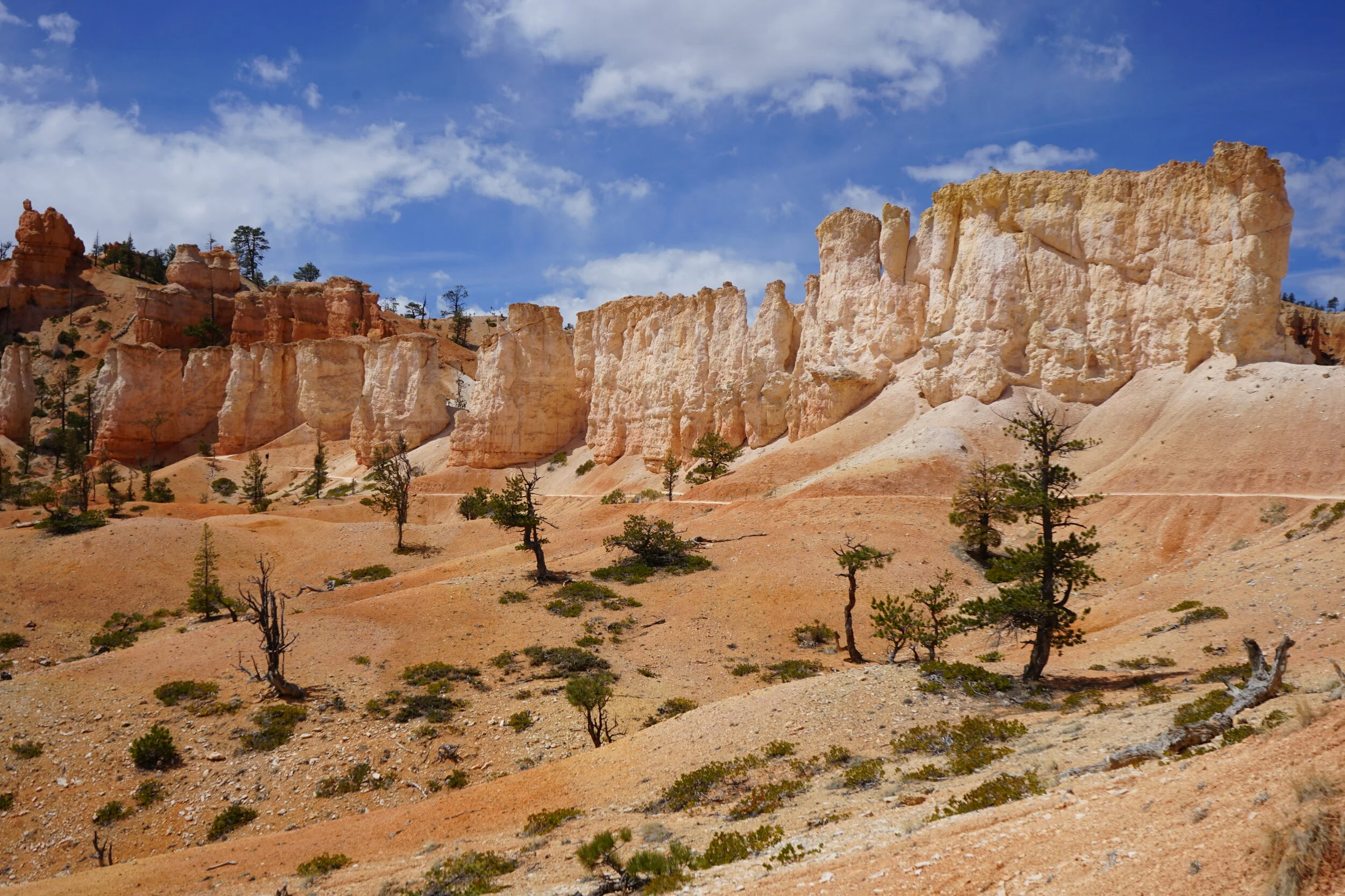 An Exploration of the Self: A Partnership with Dave and Matt Vans — S ...