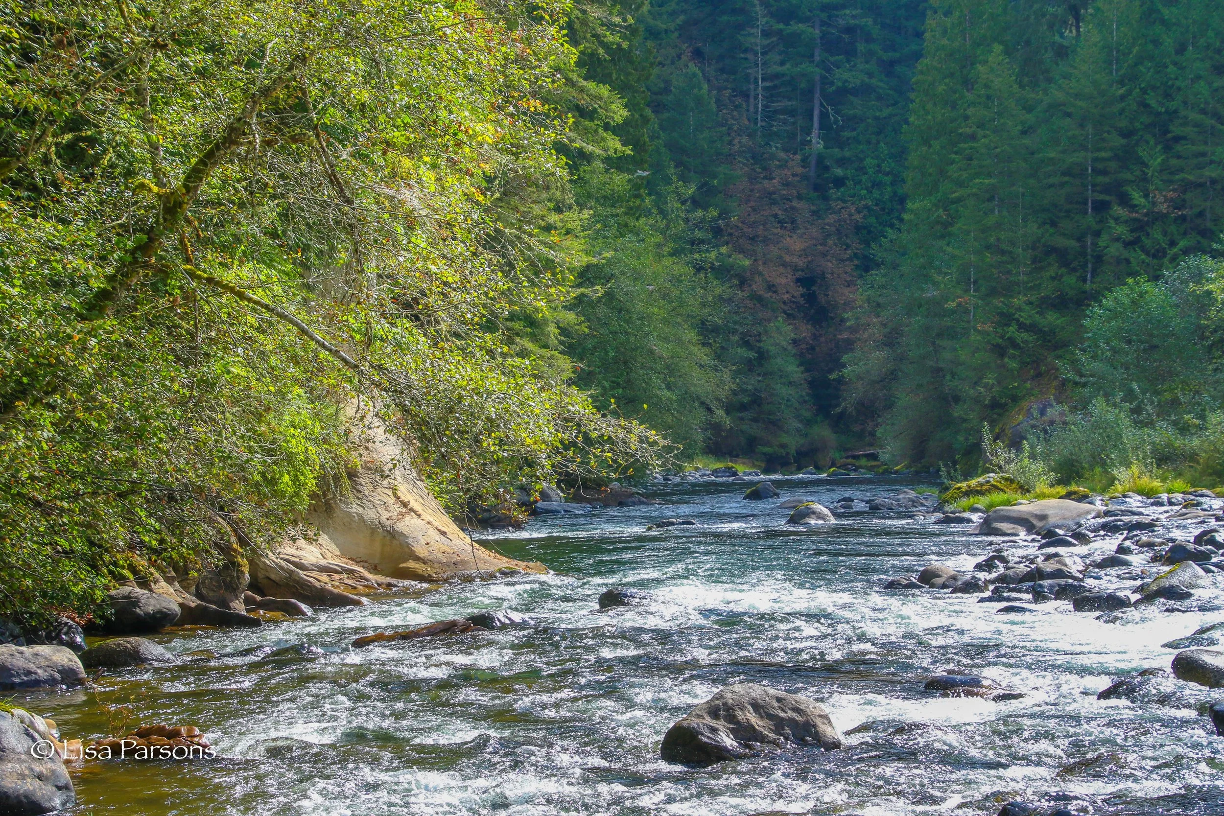 Updated Exploring the Upper Gorge — Green River Gorge GreenwayField ...