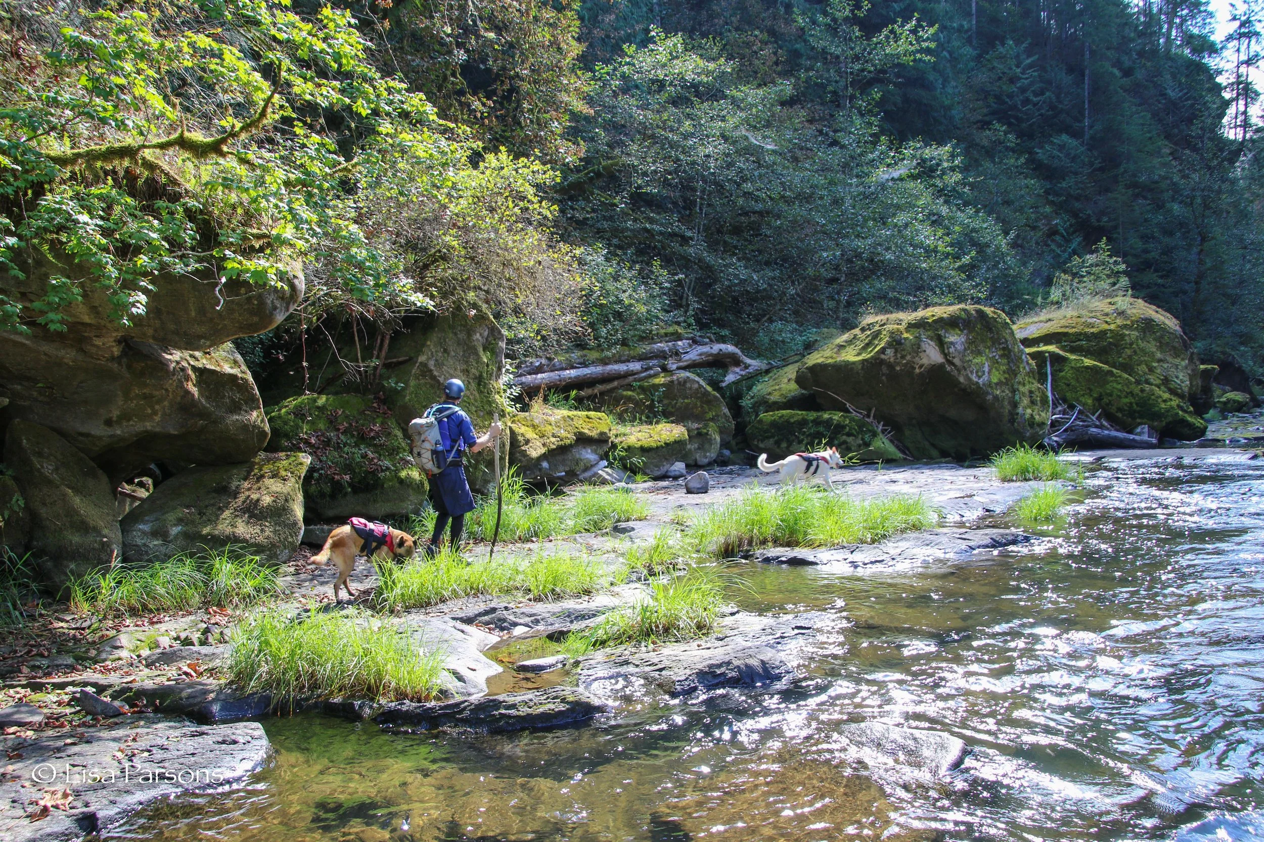 Updated Exploring the Upper Gorge — Green River Gorge GreenwayField ...