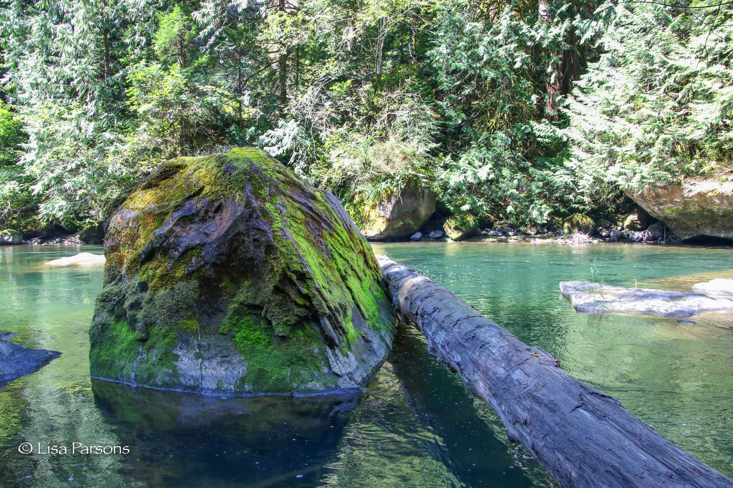 Updated Exploring the Upper Gorge — Green River Gorge GreenwayField ...