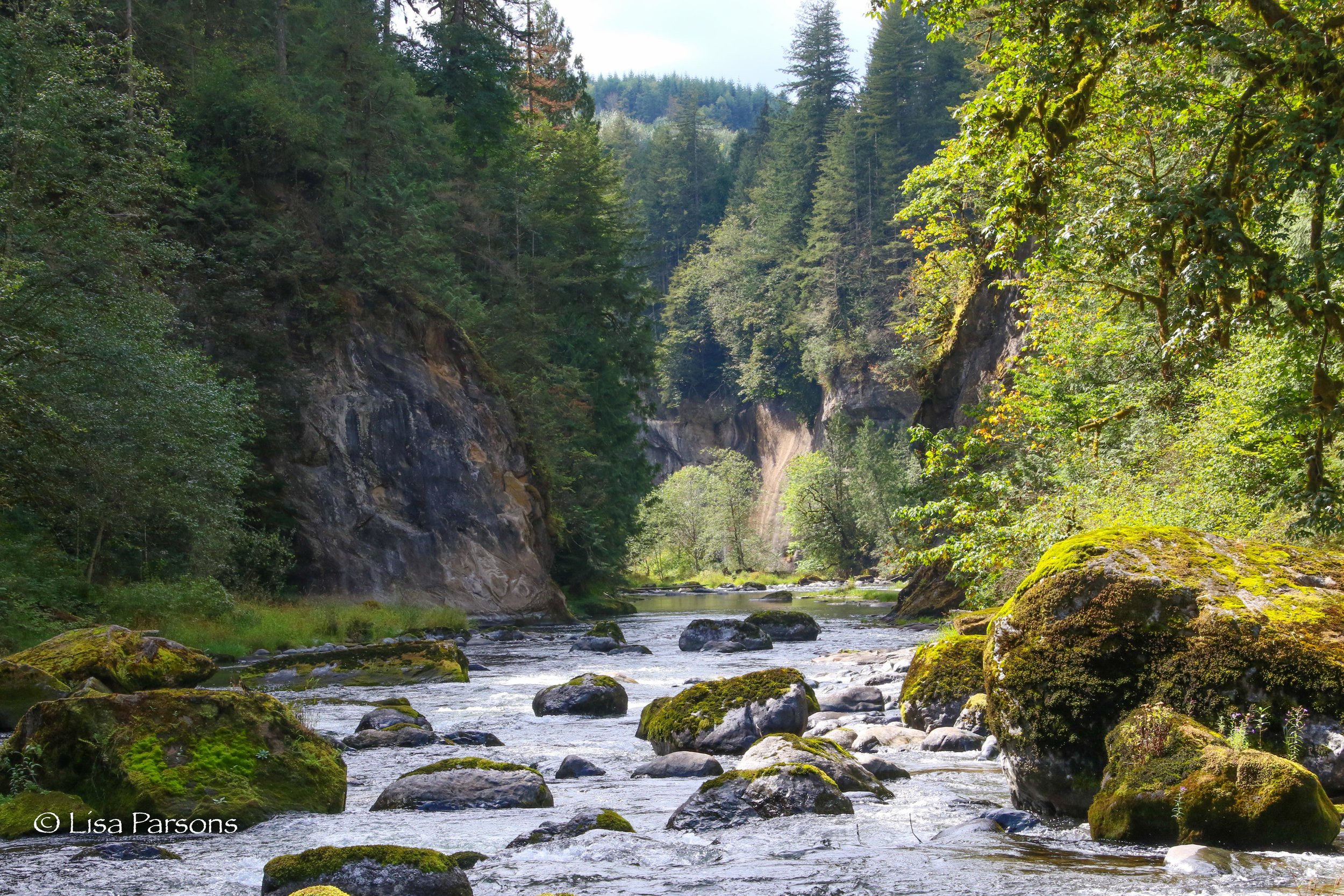 Updated Exploring the Upper Gorge — Green River Gorge GreenwayField ...