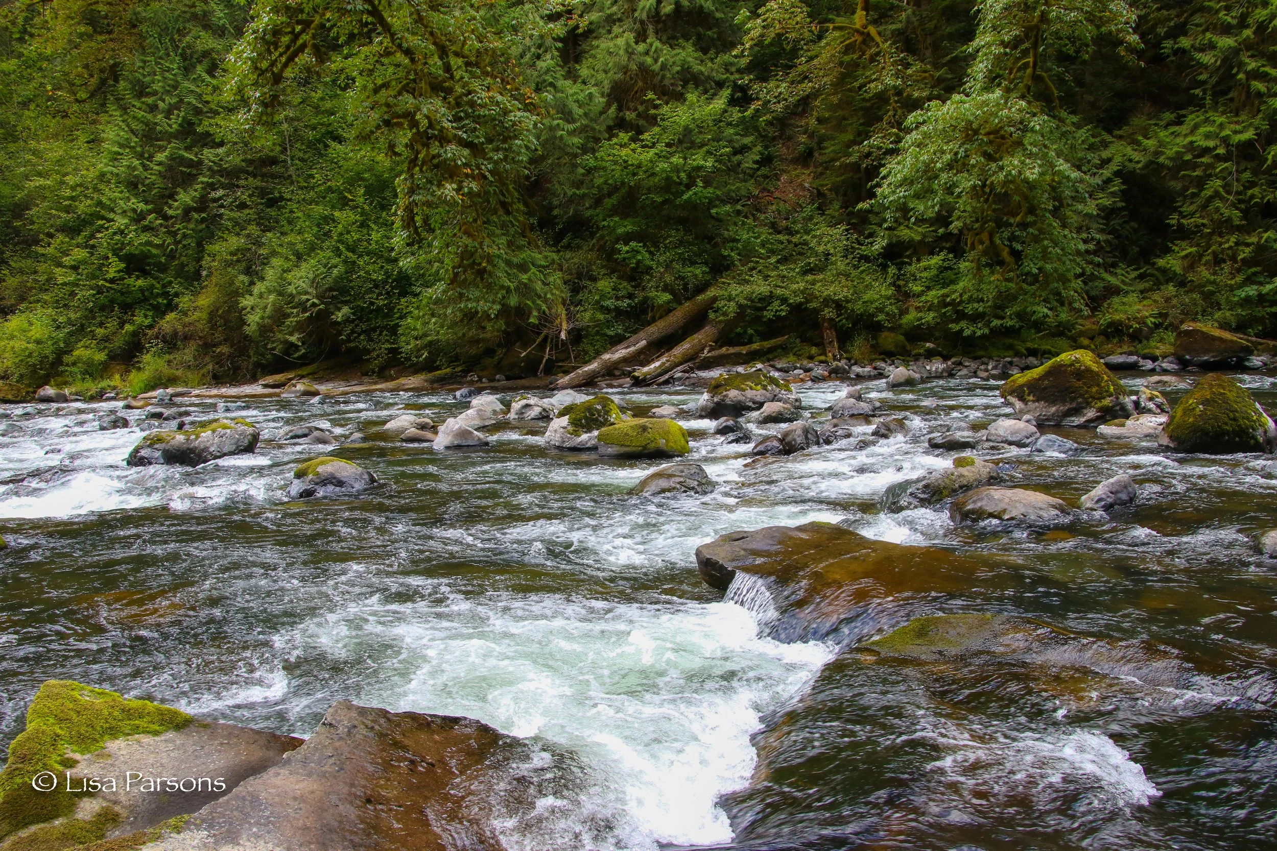 Updated Exploring the Upper Gorge — Green River Gorge GreenwayField ...