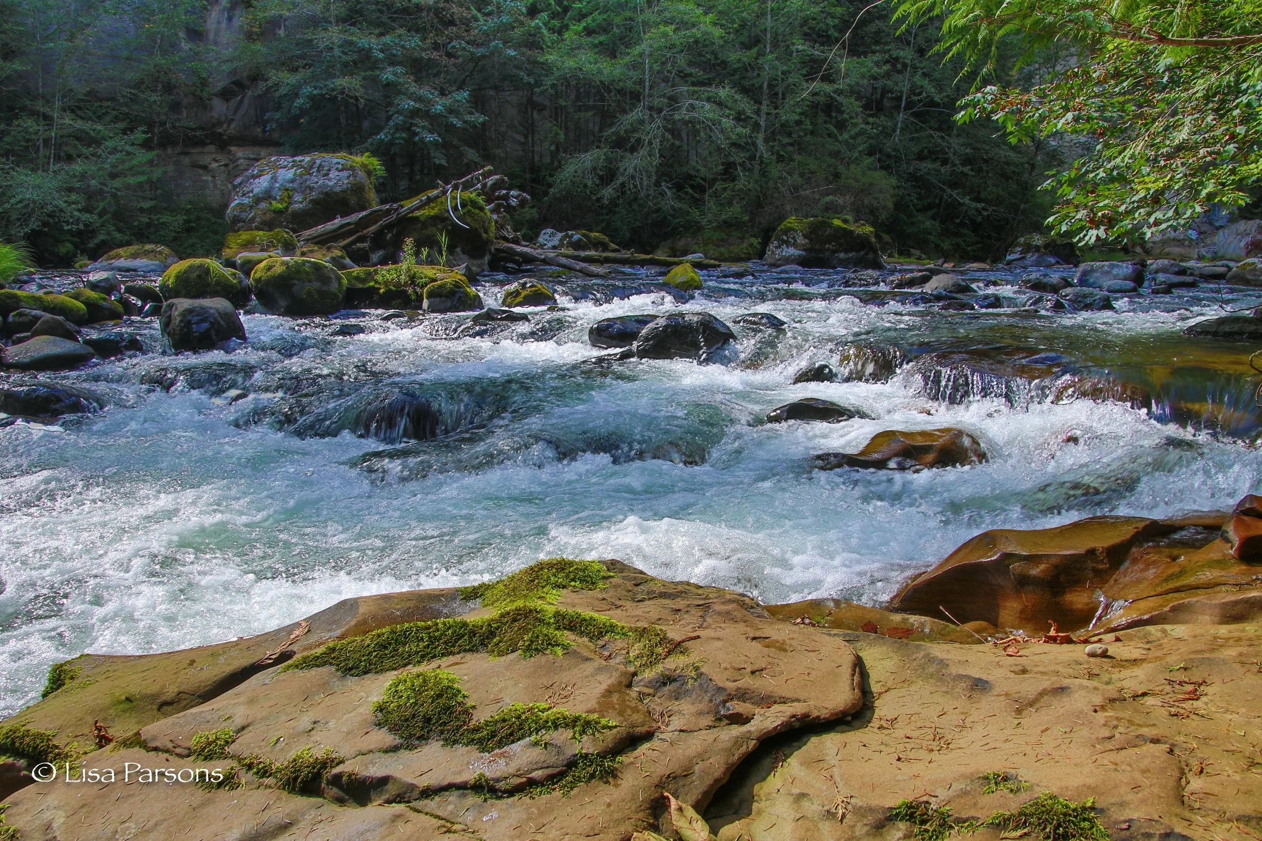 Updated Exploring the Upper Gorge — Green River Gorge GreenwayField ...