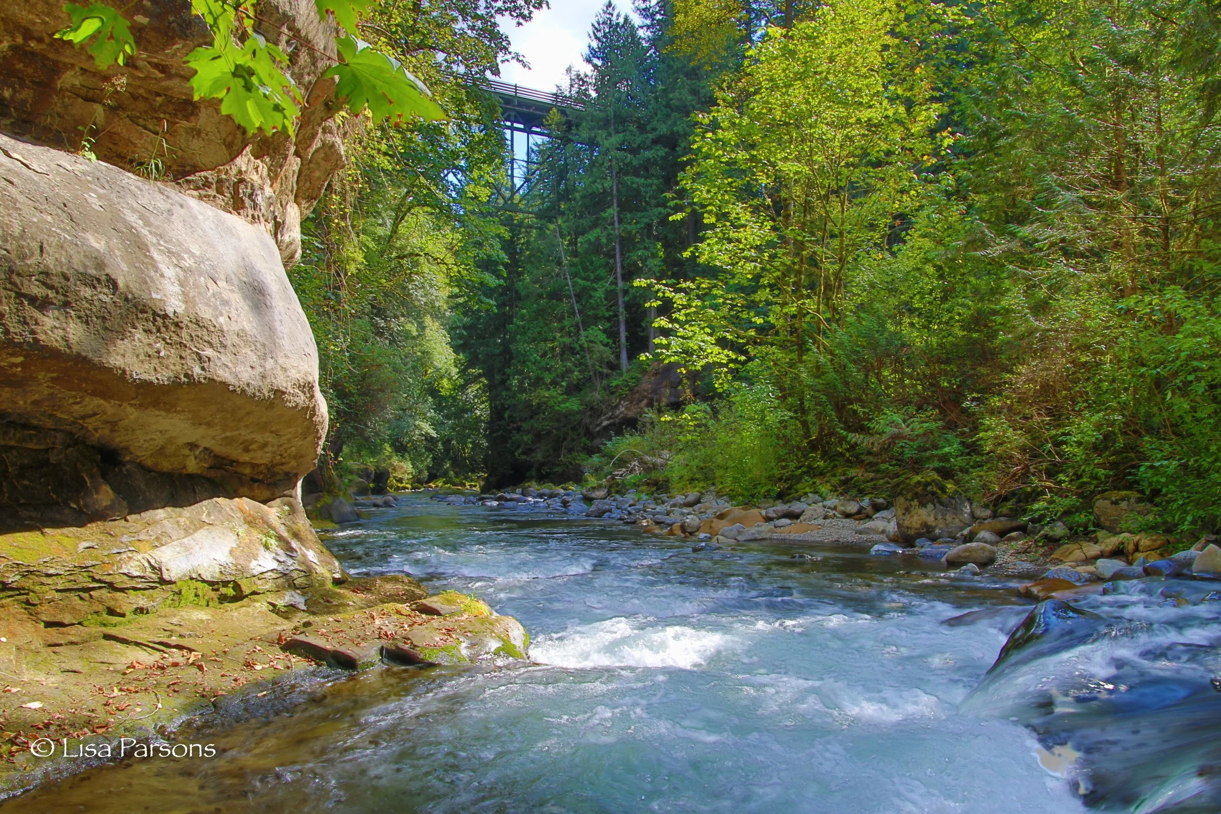 Updated Exploring the Upper Gorge — Green River Gorge GreenwayField ...
