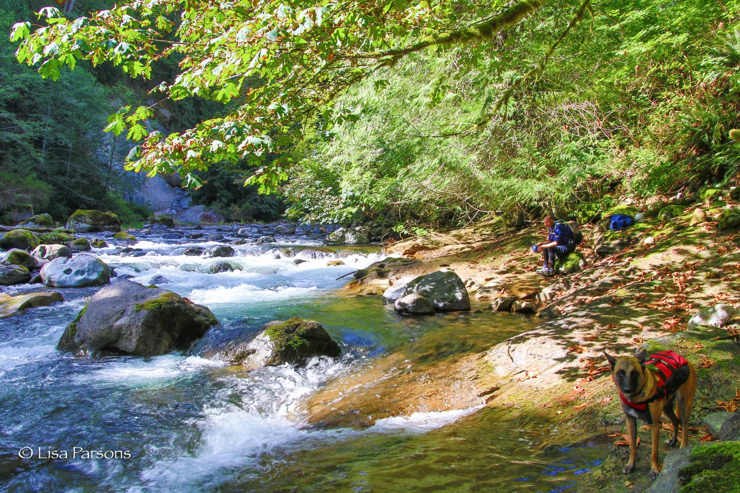 Updated Exploring the Upper Gorge — Green River Gorge GreenwayField ...