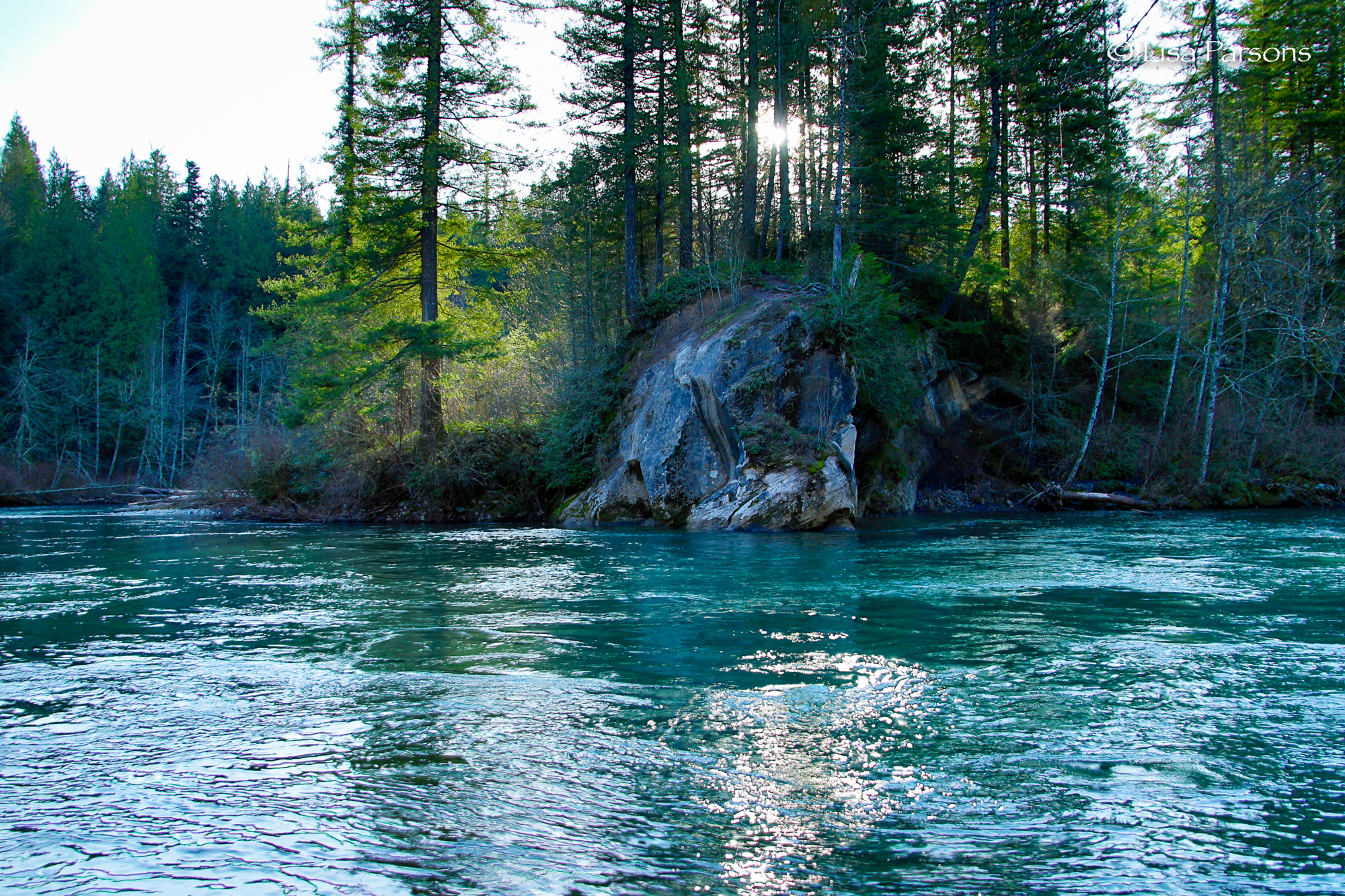 Welcome to November — Green River Gorge GreenwayField NotesConservation ...
