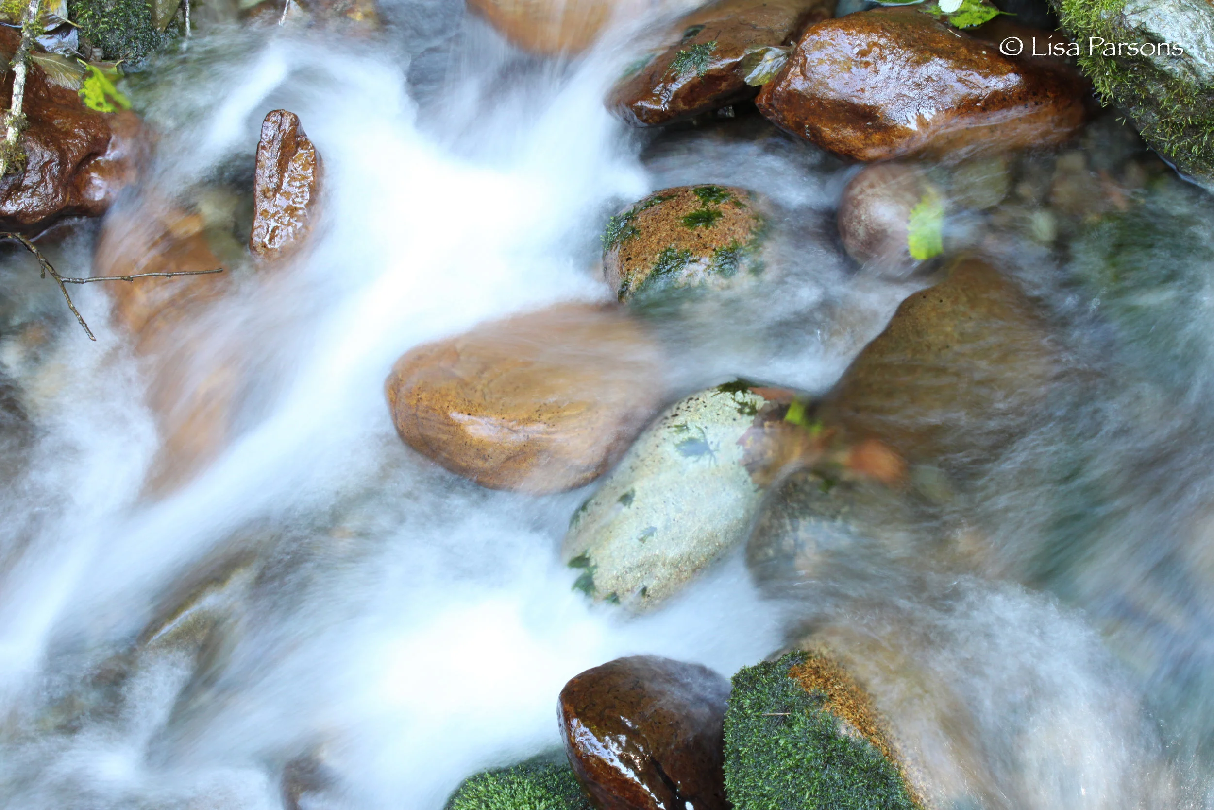 Icy Creek Spring Hike — Green River Gorge GreenwayField ...