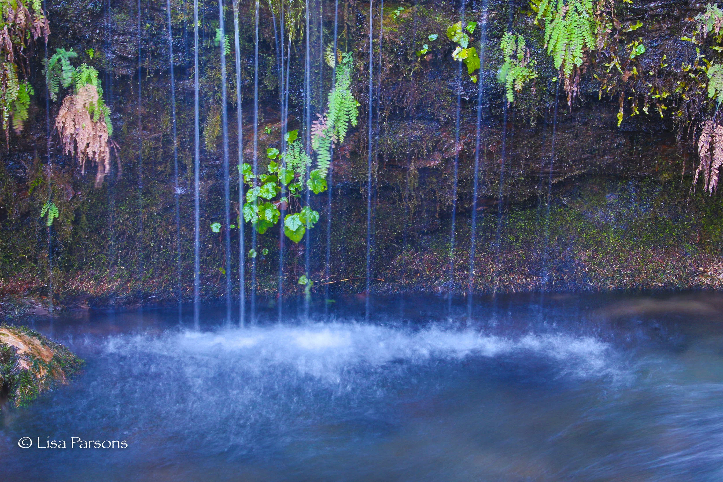 Icy Creek Spring Hike — Green River Gorge GreenwayField ...