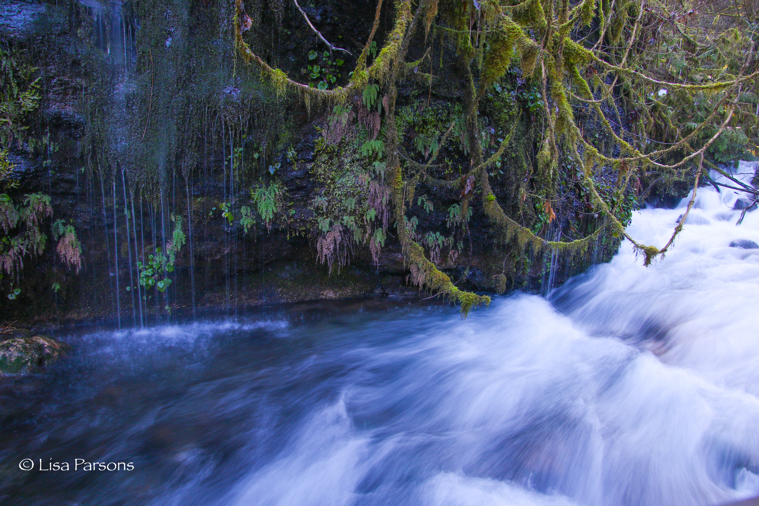 Icy Creek Spring Hike — Green River Gorge GreenwayField ...